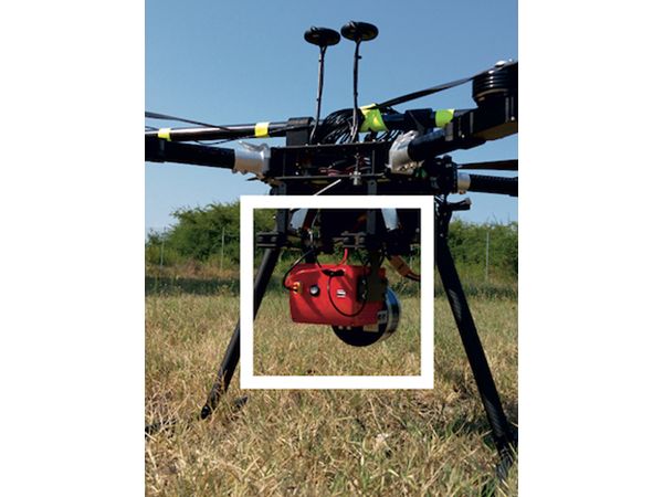 SCANFLY | Tree Company Corporation